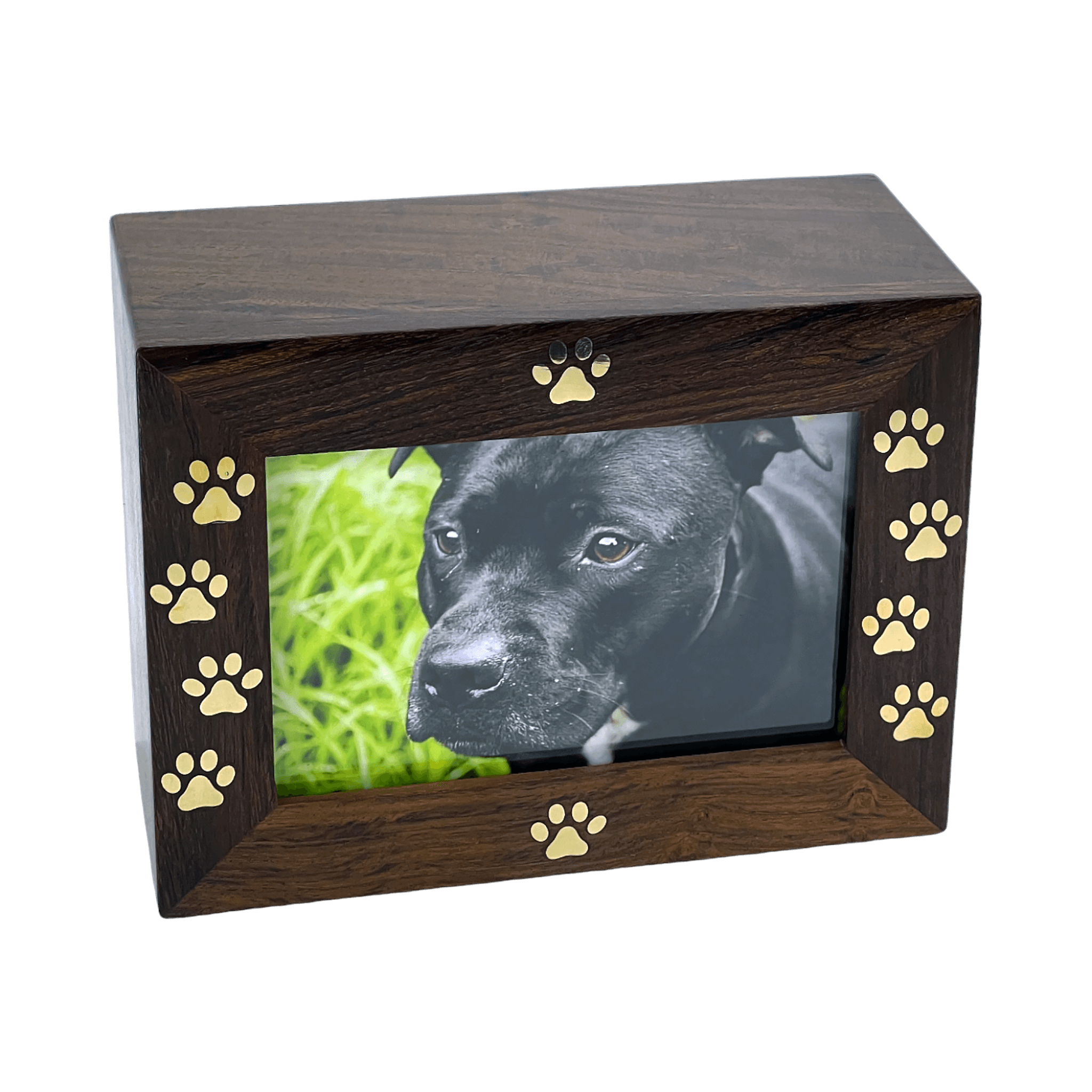 Pet Cremation Urns – Angel Ashes