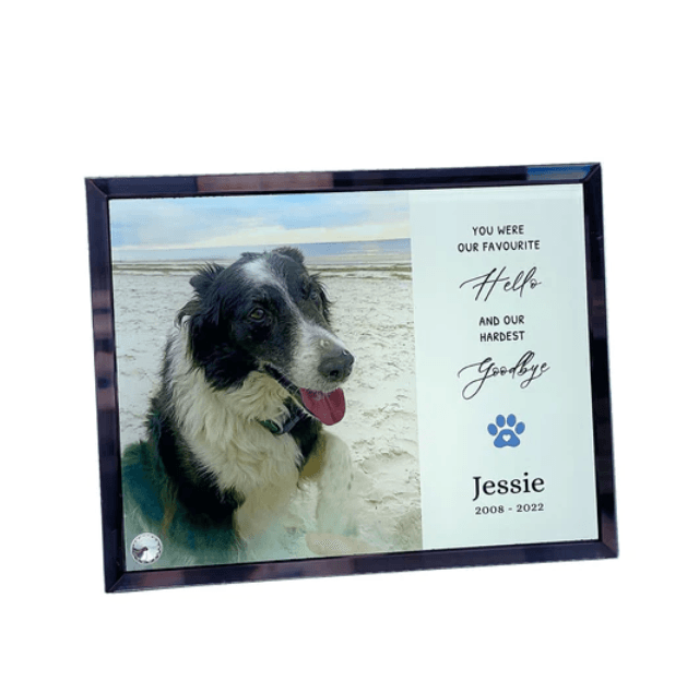 Different Types Of Pet Paw Print Keepsake To Remember Your Pet Forever ...