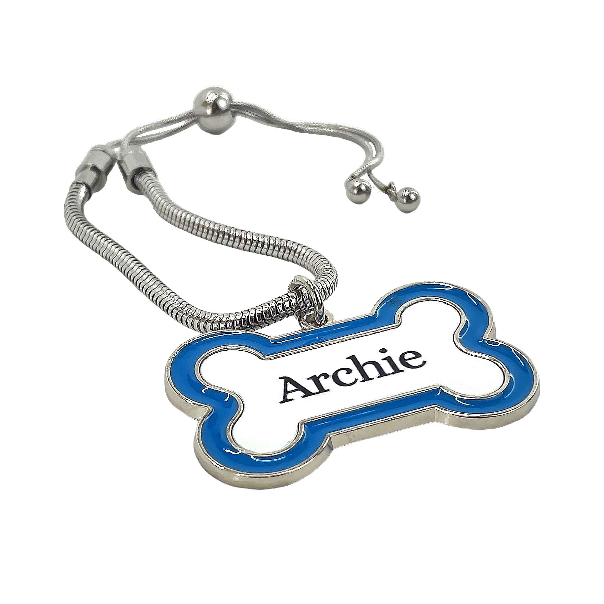 Blue Bone-Shaped Personalised Pet Urn Name Tag with Stainless Steel Sl ...