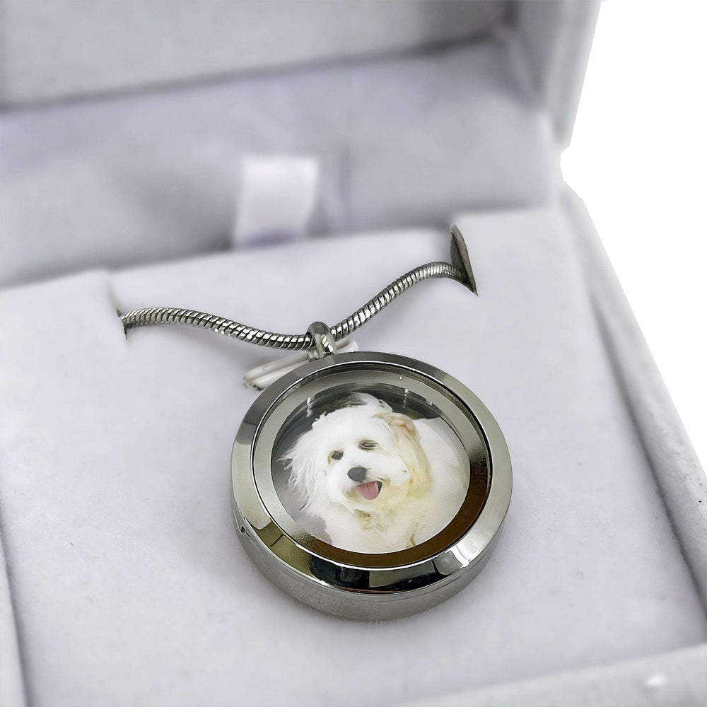 Contact Us for Pet Cremations | Pet ashes into keepsakes – Angel Ashes